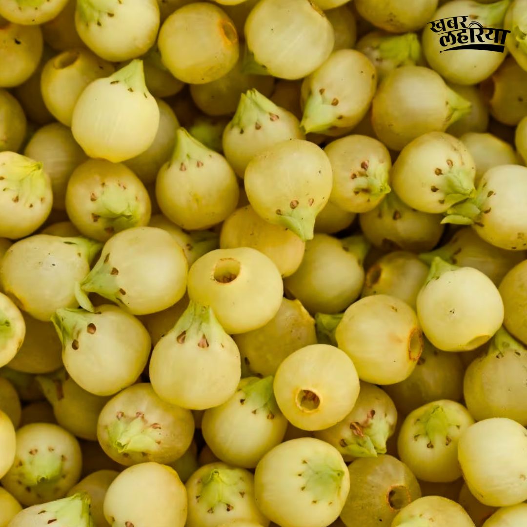 Benefits of Mahua - Khabar Lahariya (खबर लहरिया)