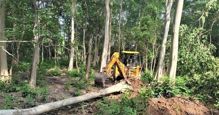 MP Tree Cutting: सिंगरौली में जंगल कटाने का संकट, भारी पुलिस सुरक्षा ...